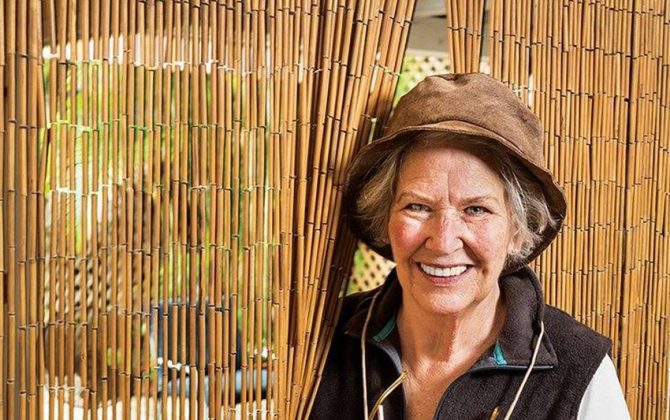 Annie Dillard: una mística en estado salvaje | Rialta