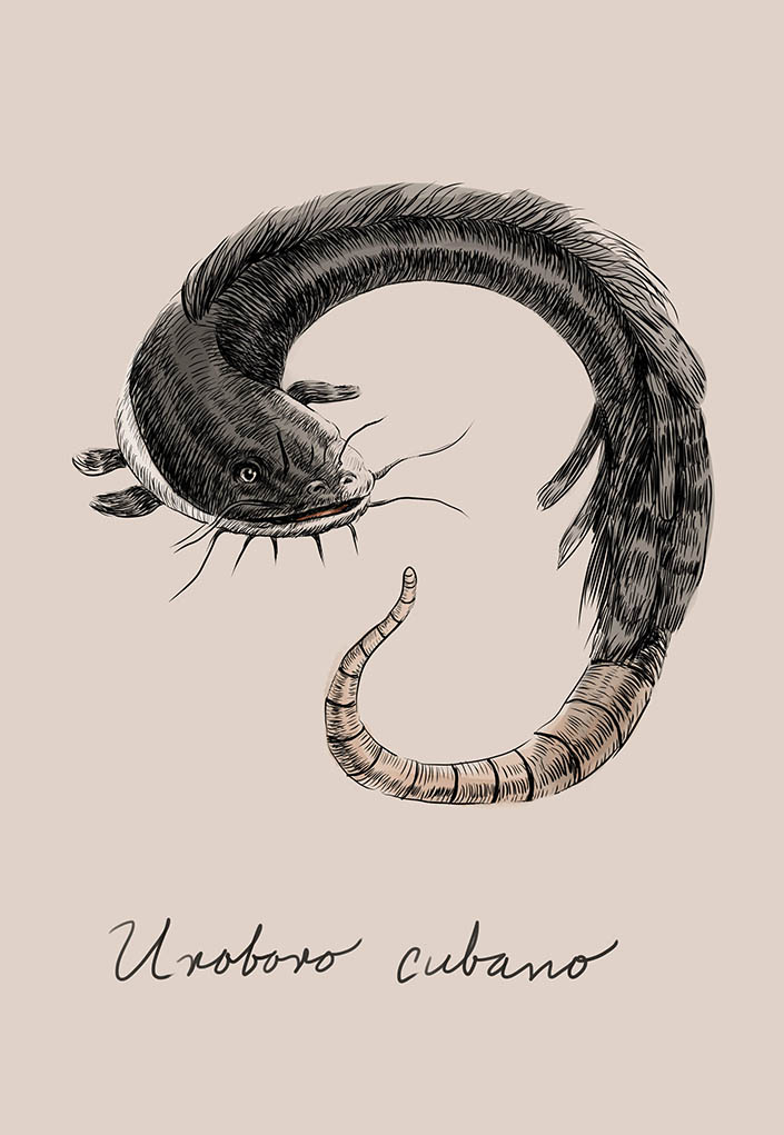Bestiario Miserable #2: Uróboro cubano | Rialta